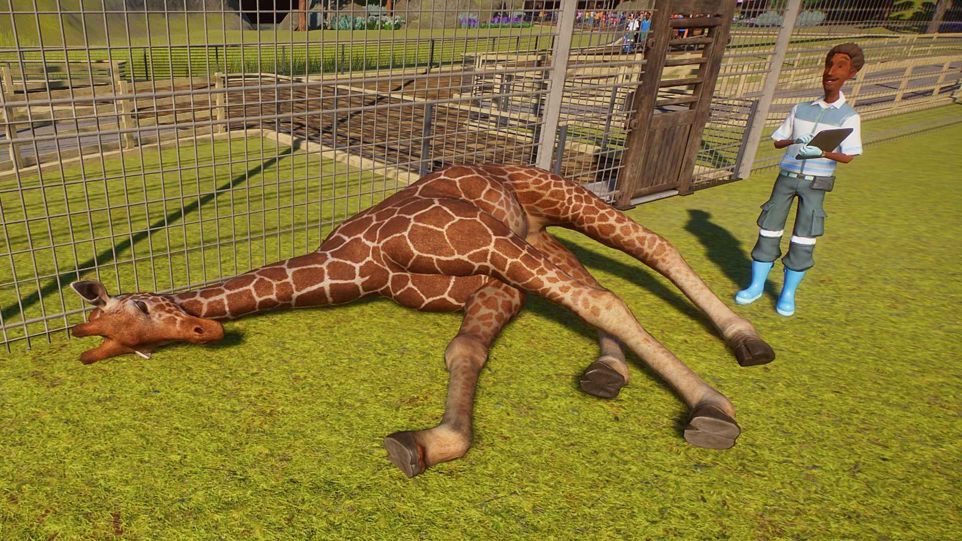 Planet Zoo Update 1 2 3 Released Improvements And Bug Fixes