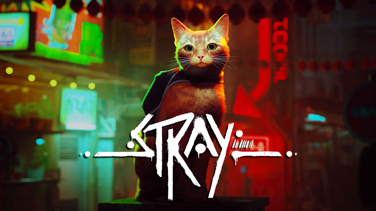 Stray Save Game File Location